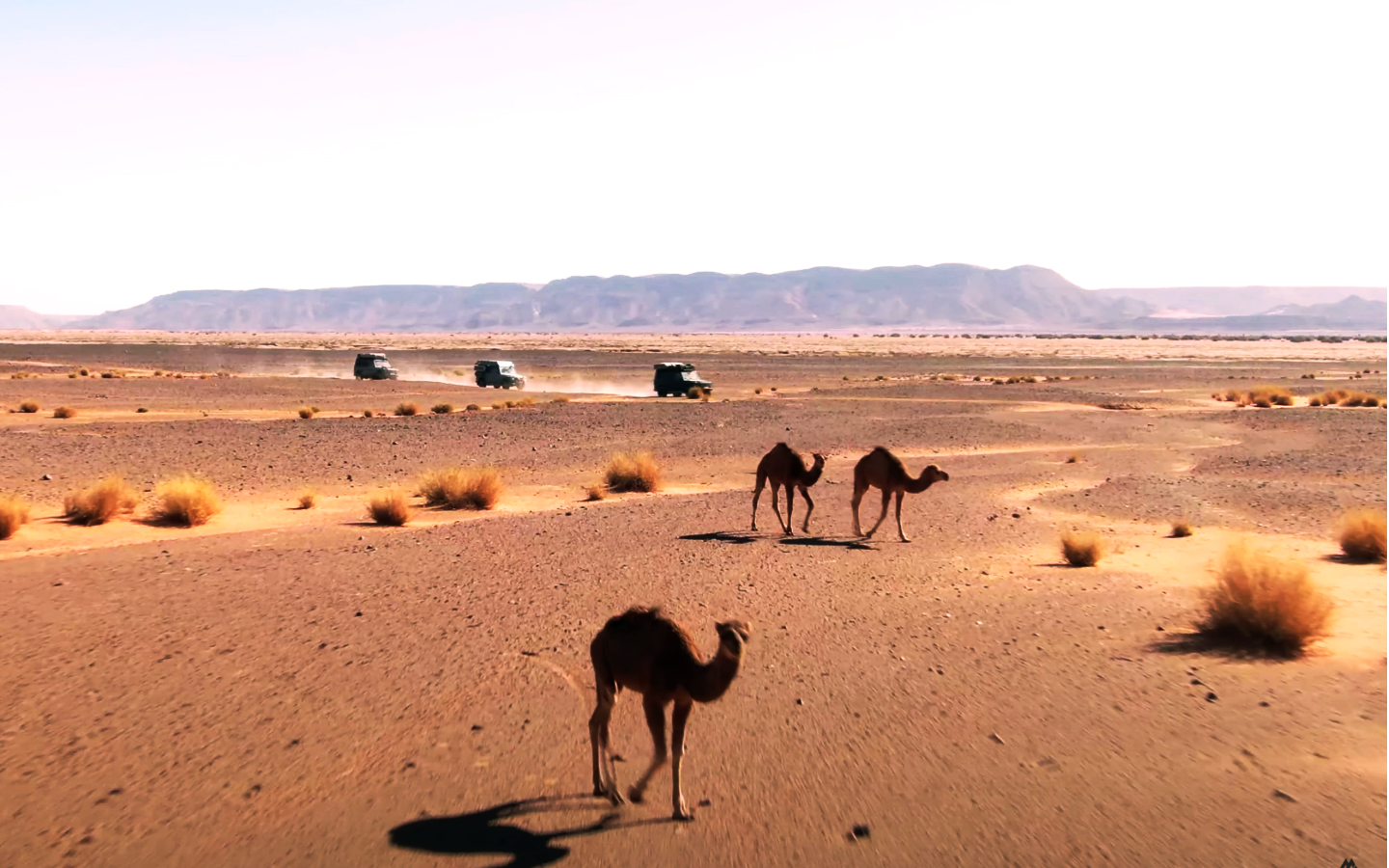Africa-Sahara - Survival 4x4 - Flo Adventure